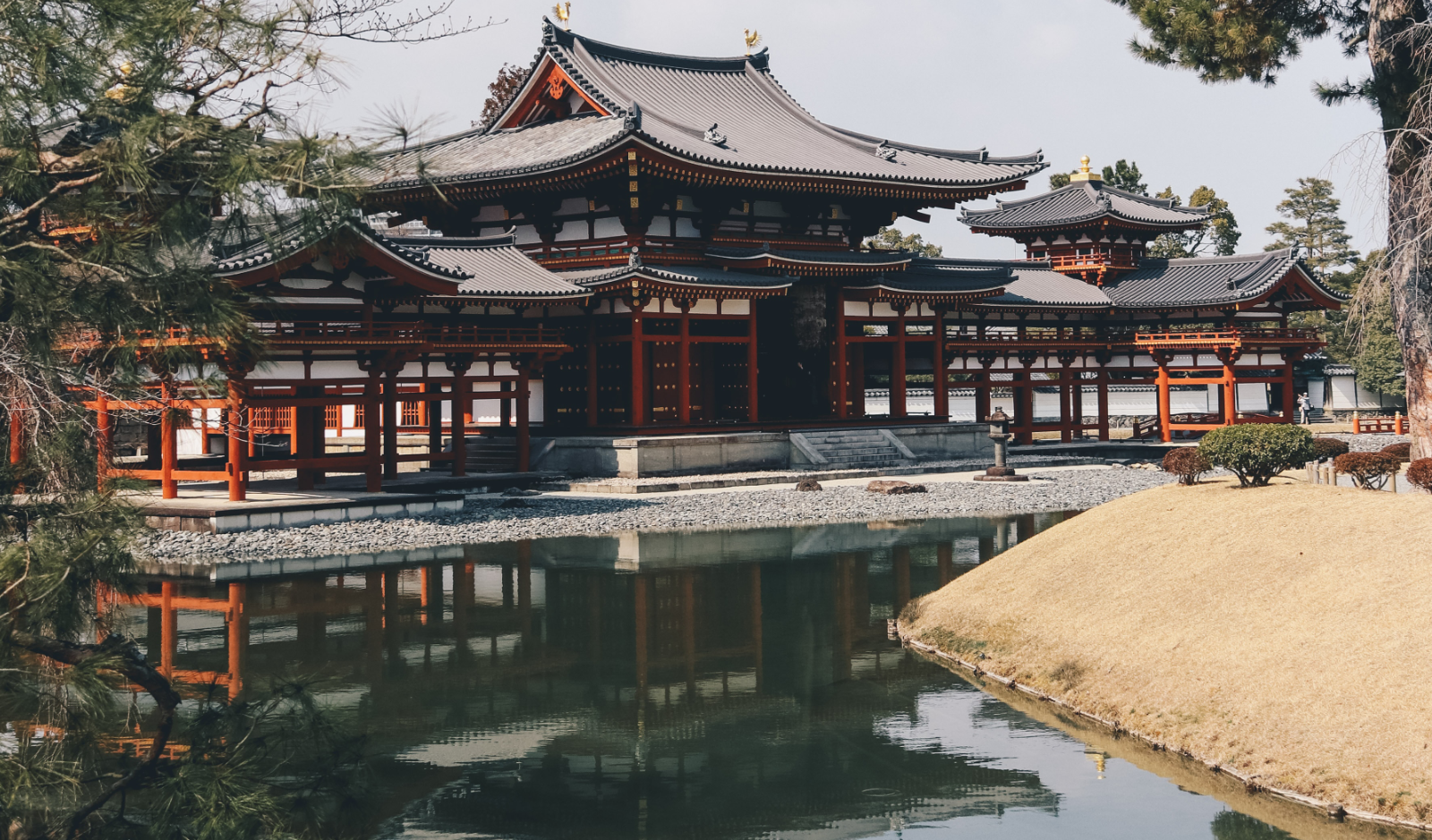 Mastering the Art of Japanese Keigo — Nichijougo